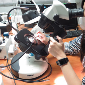 Gem Testing Laboratory in Bangkok – C. Dunaigre Consulting GmbH